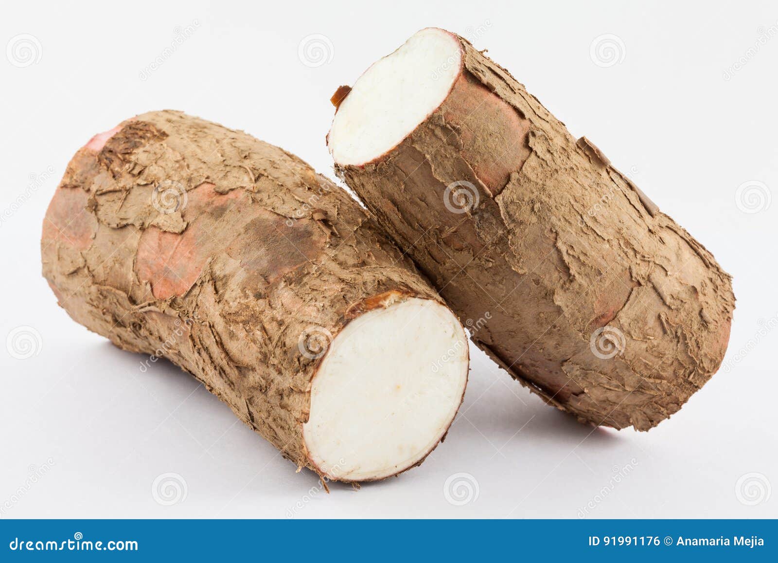 Cassava Or Manihot, Also Known As Manioc, Yuca Or Brazillian Arrowroot ...