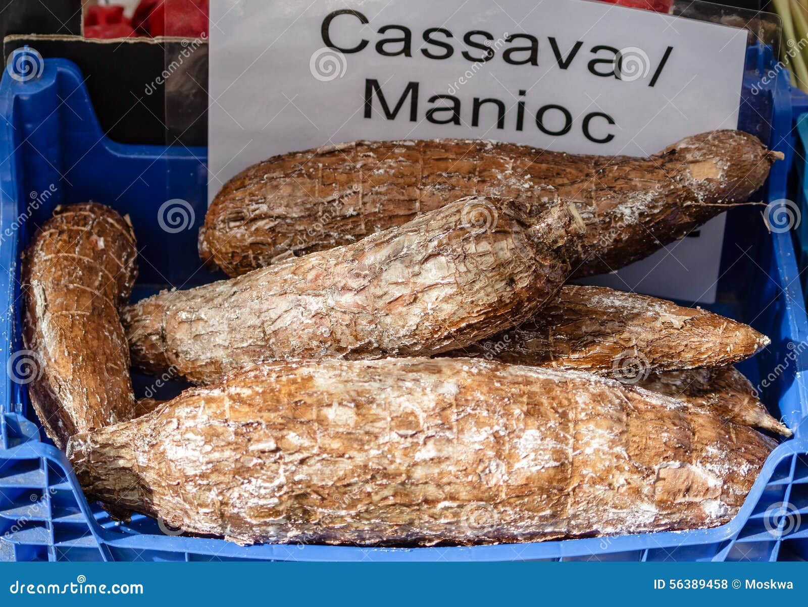 Cassava Manioc - Potato of the Incas Stock Photo - Image of tuberous ...
