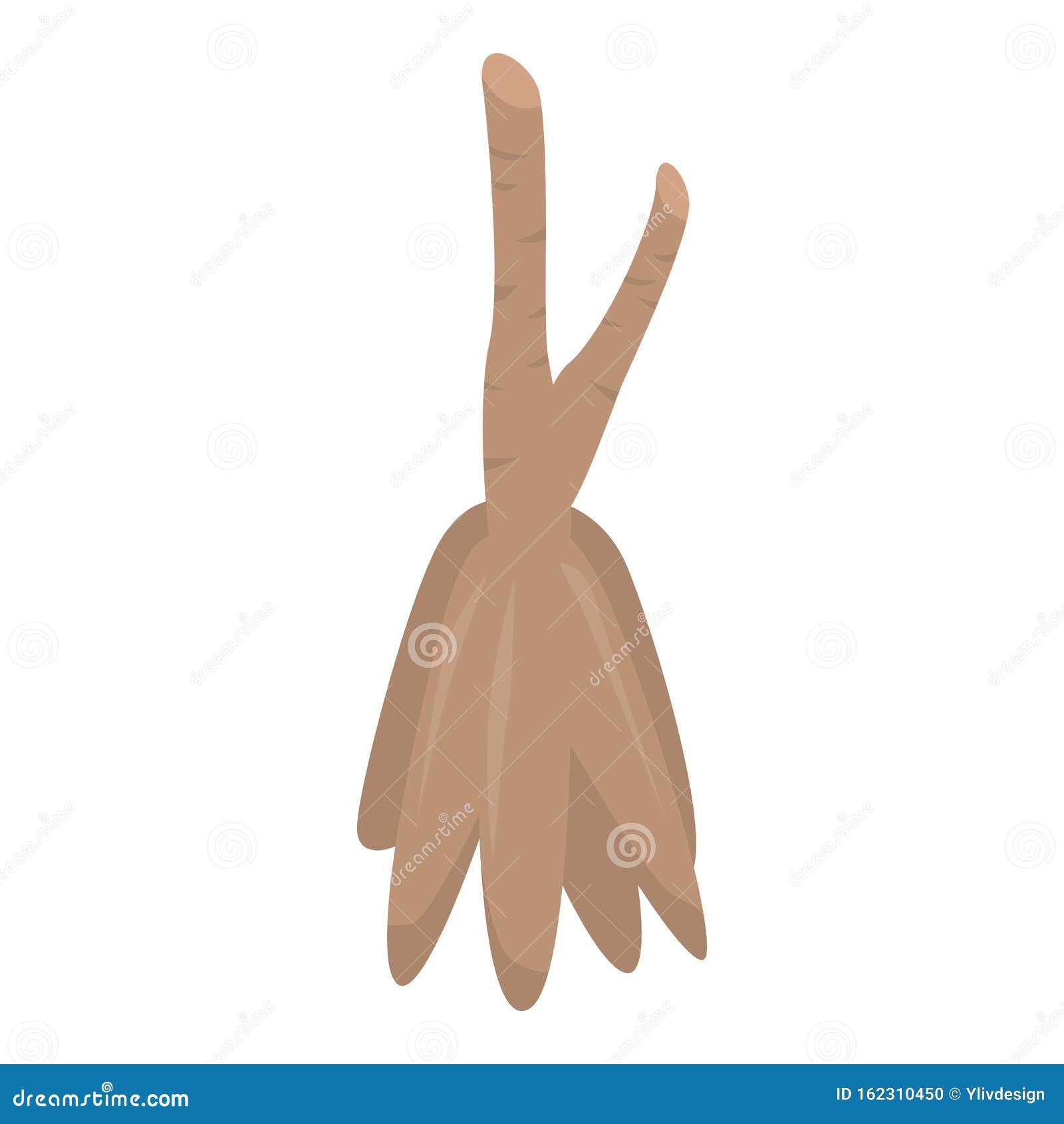 Cassava Plant Icon, Isometric Style Stock Vector - Illustration of ...