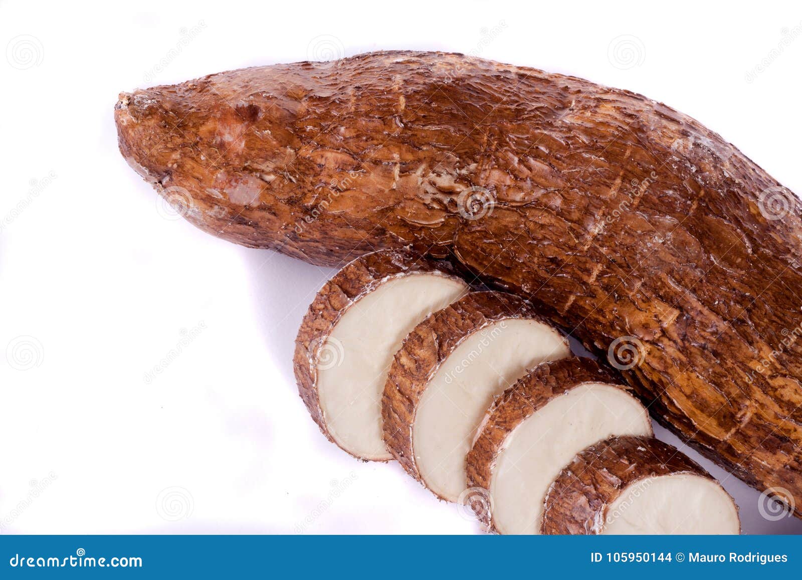 Cassava root stock photo. Image of natural, root, healthy - 105950144