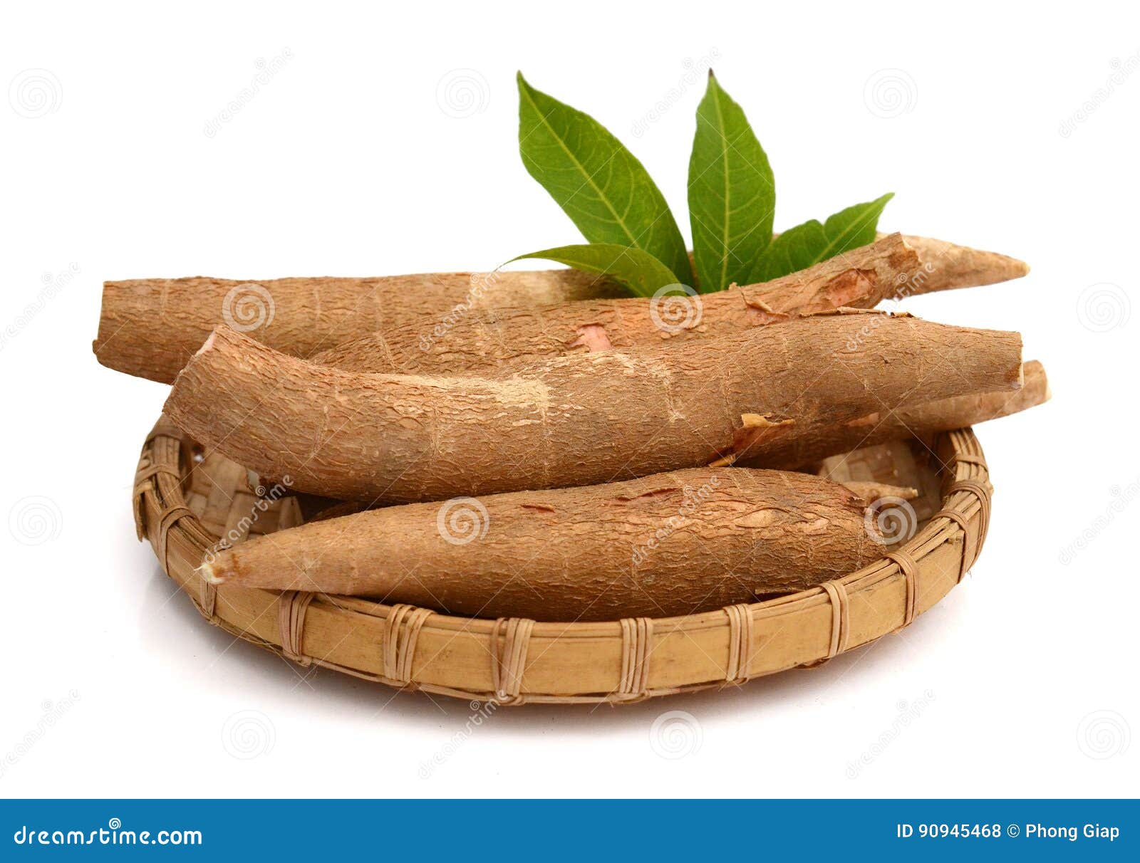 Cassava root stock photo. Image of halved, root, manioc - 90945468