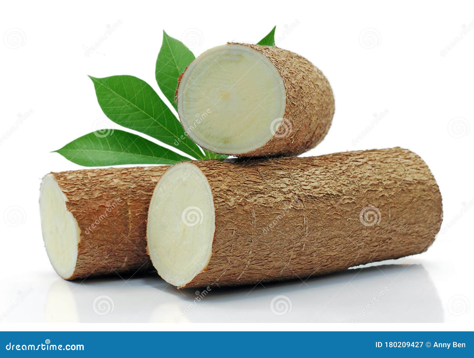 Cassava Root Stock Image | CartoonDealer.com #20165083