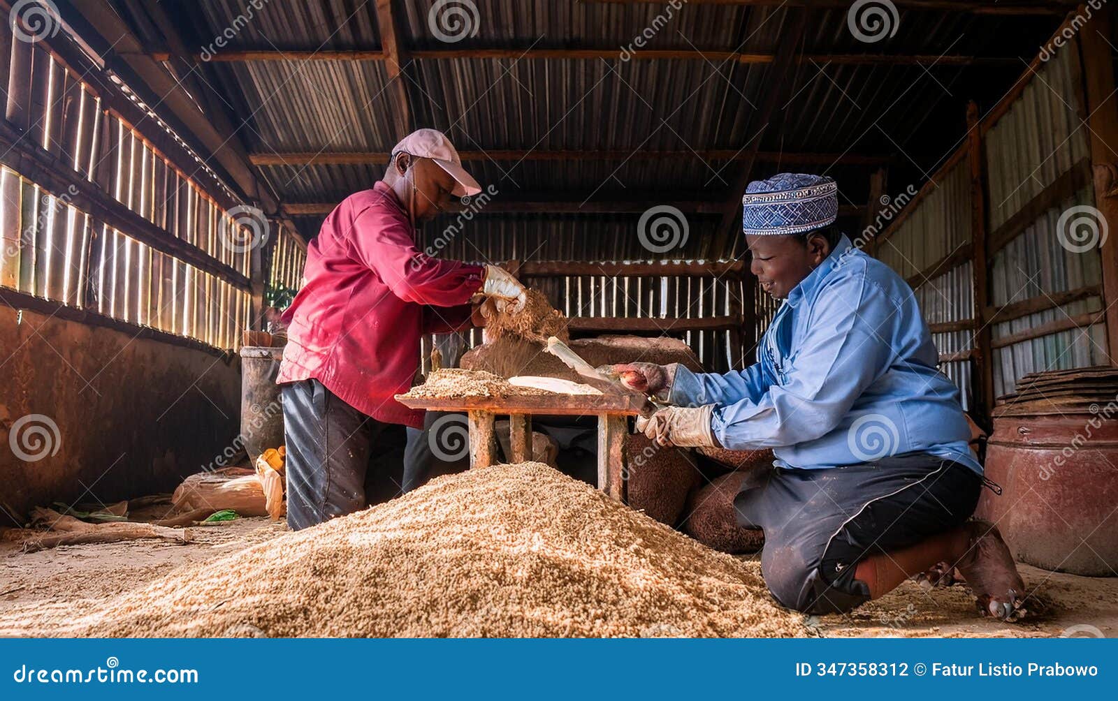 Cassava Root Processing by Workers To Produce Flour Stock Illustration ...