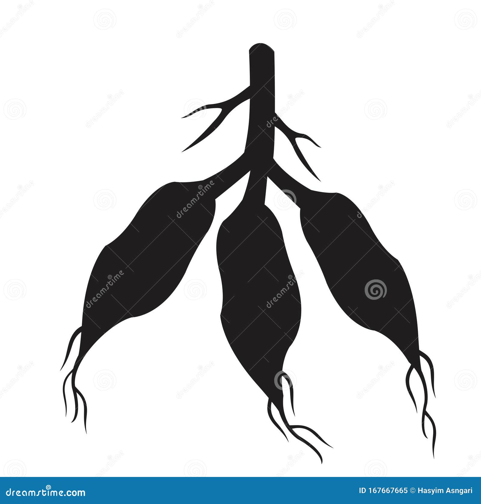 Cassava Silhouette Icon Vector | CartoonDealer.com #167667665