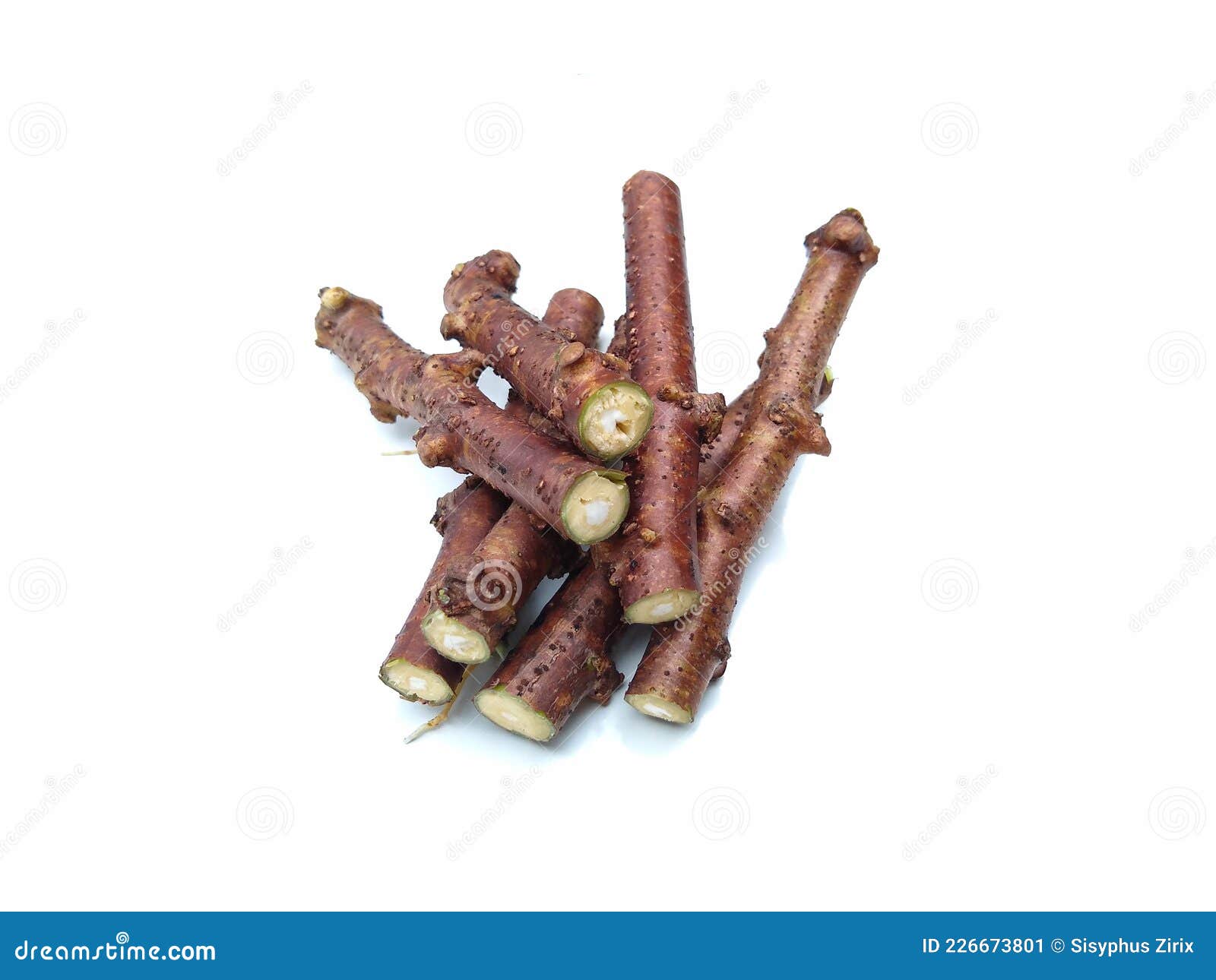 Cassava Stem Cuttings Isolated on White Background Stock Image - Image ...