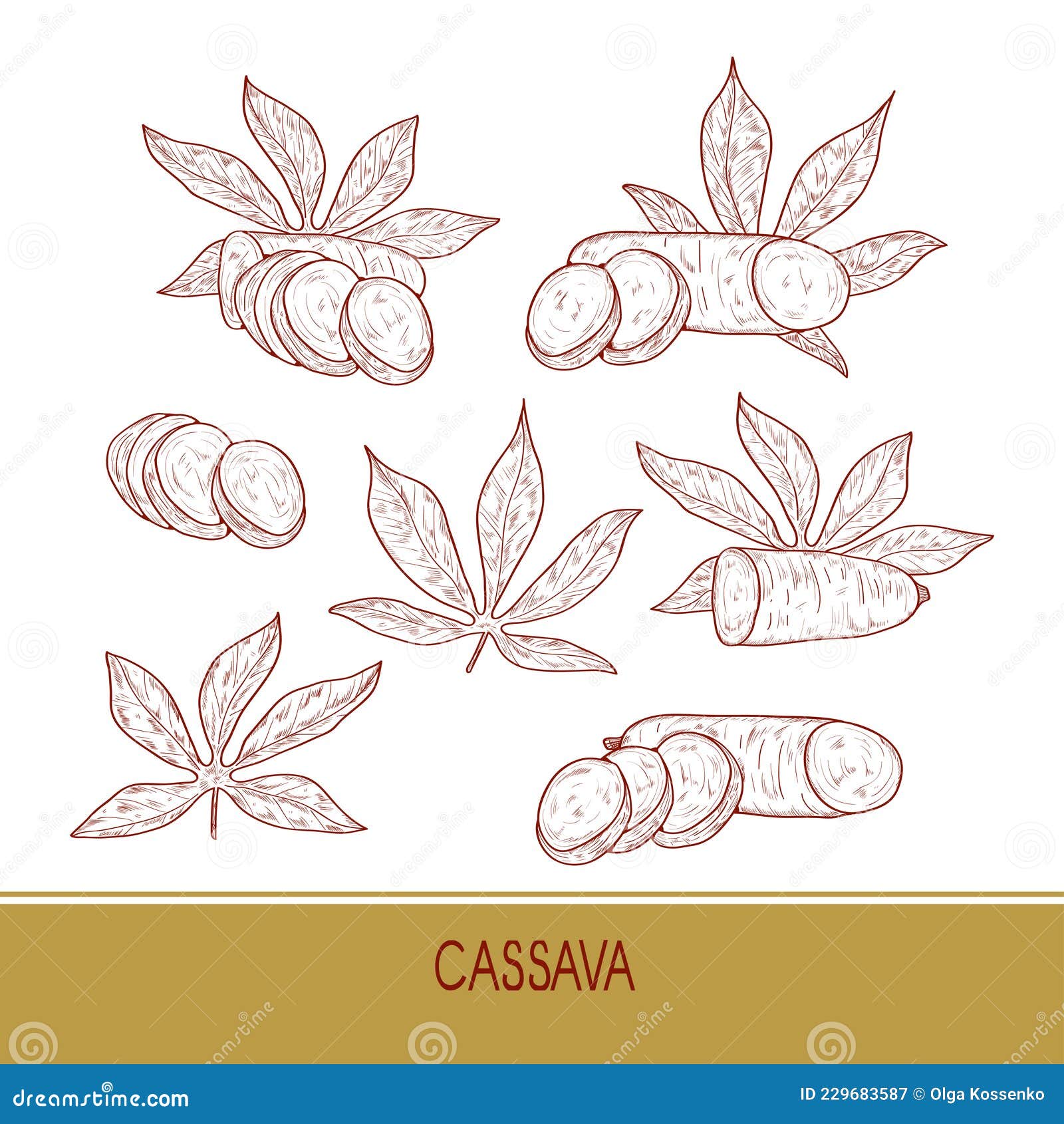 Cassava. Tuber, Leaf. Black Silhouette On White Background. Cartoon ...