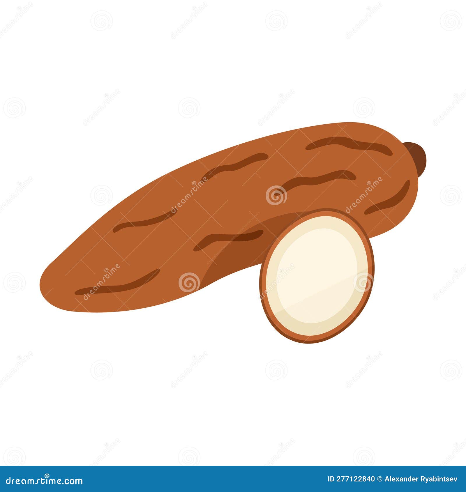 Cassava Vector Illustration. Whole and Cut Vegetable on White ...