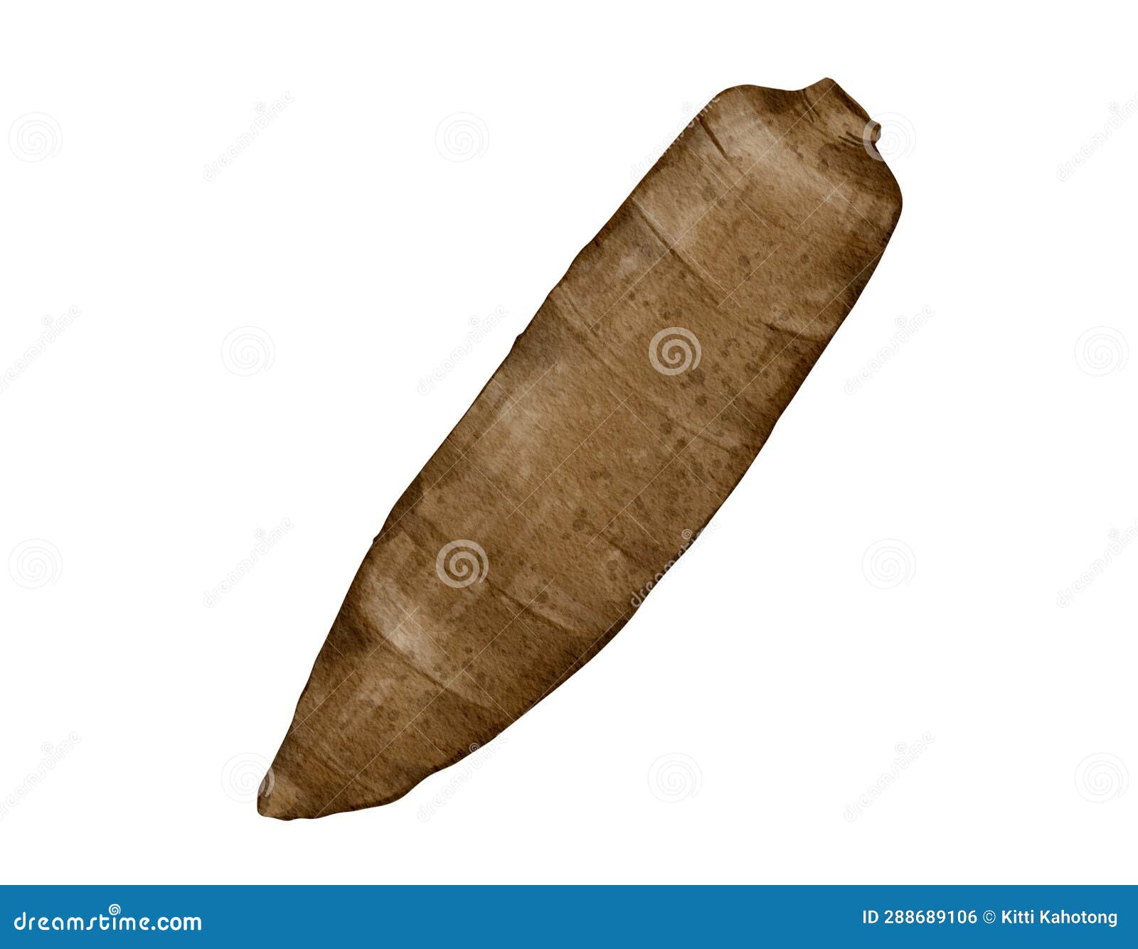 Cassava Watercolor Illustration Isolated Element | CartoonDealer.com ...