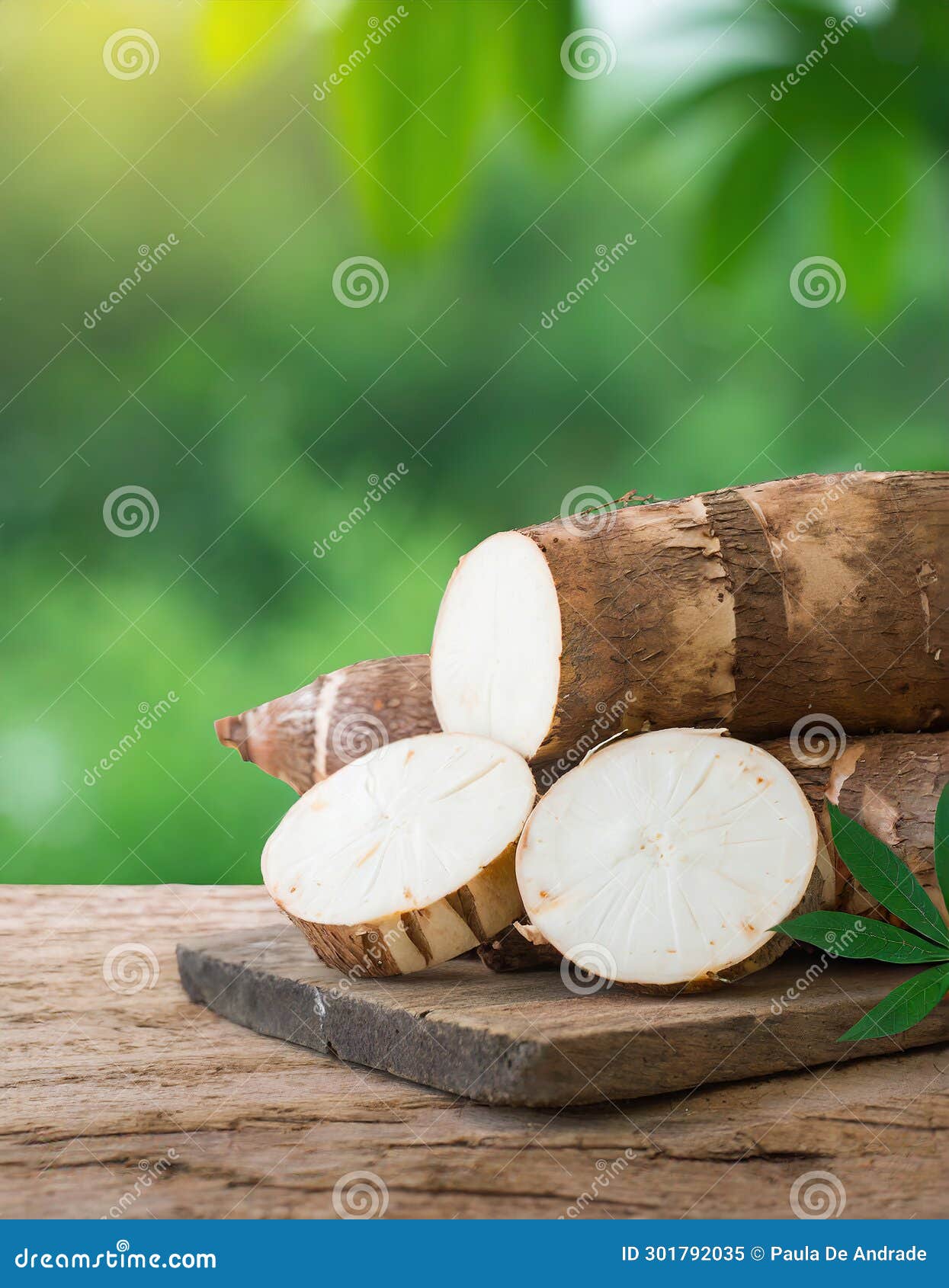 Cassava On Wood With A Blurred Green Background Royalty-Free Stock ...