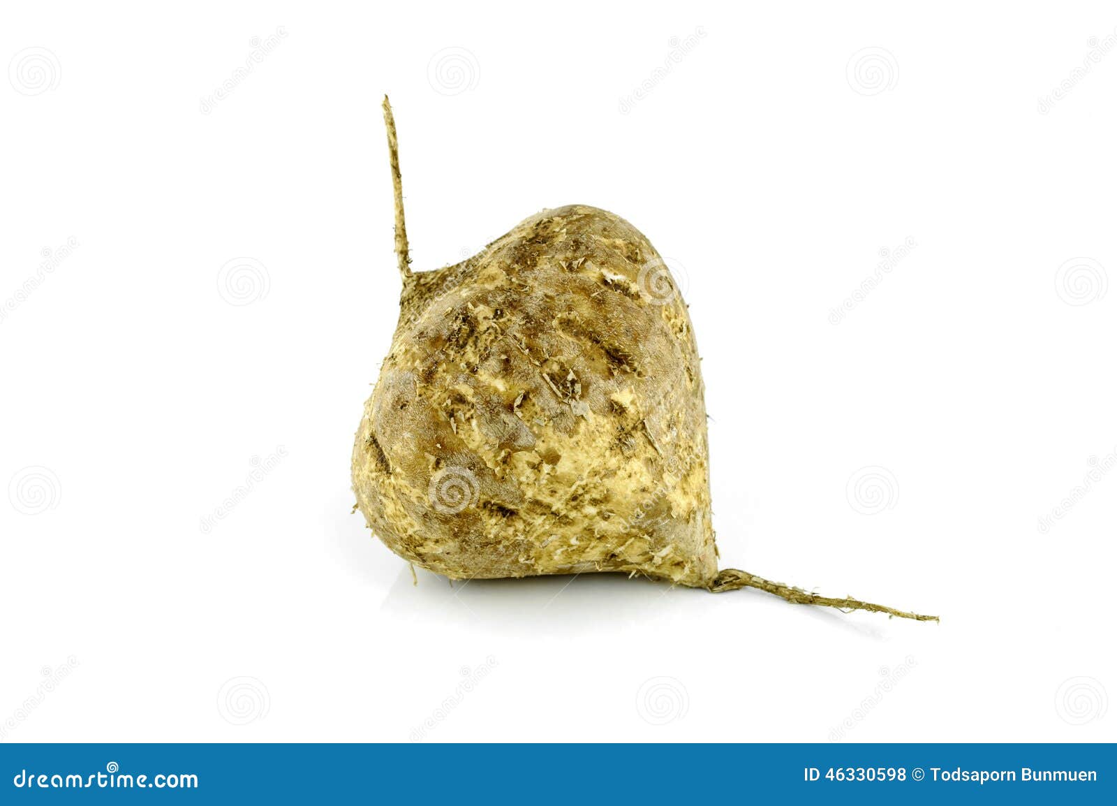 Cassava ,Yam Bean, Root Isolate on White Background Stock Photo - Image ...