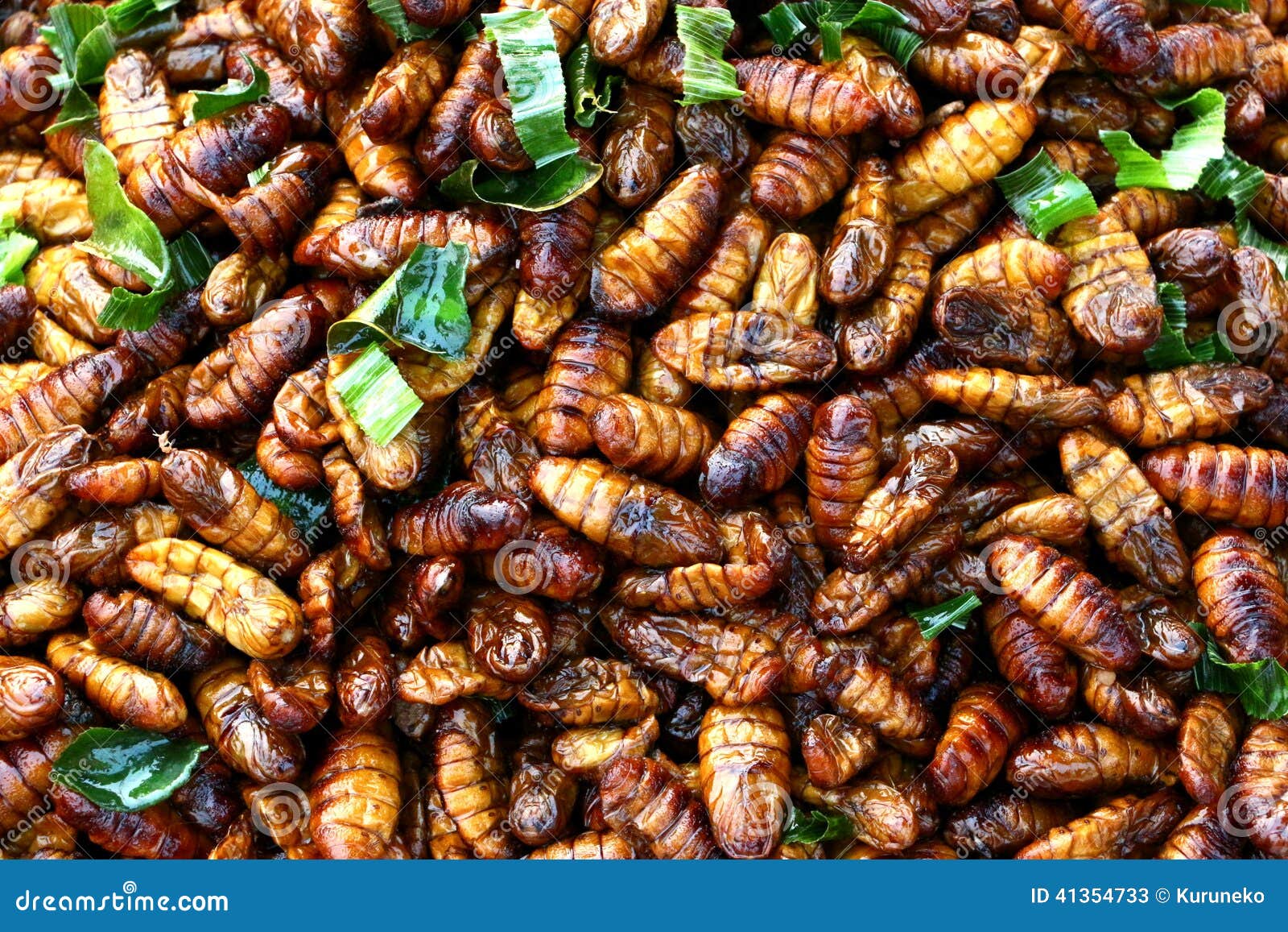 Casse-croûte Frit De Larve D'insecte Image stock - Image du assiette ...