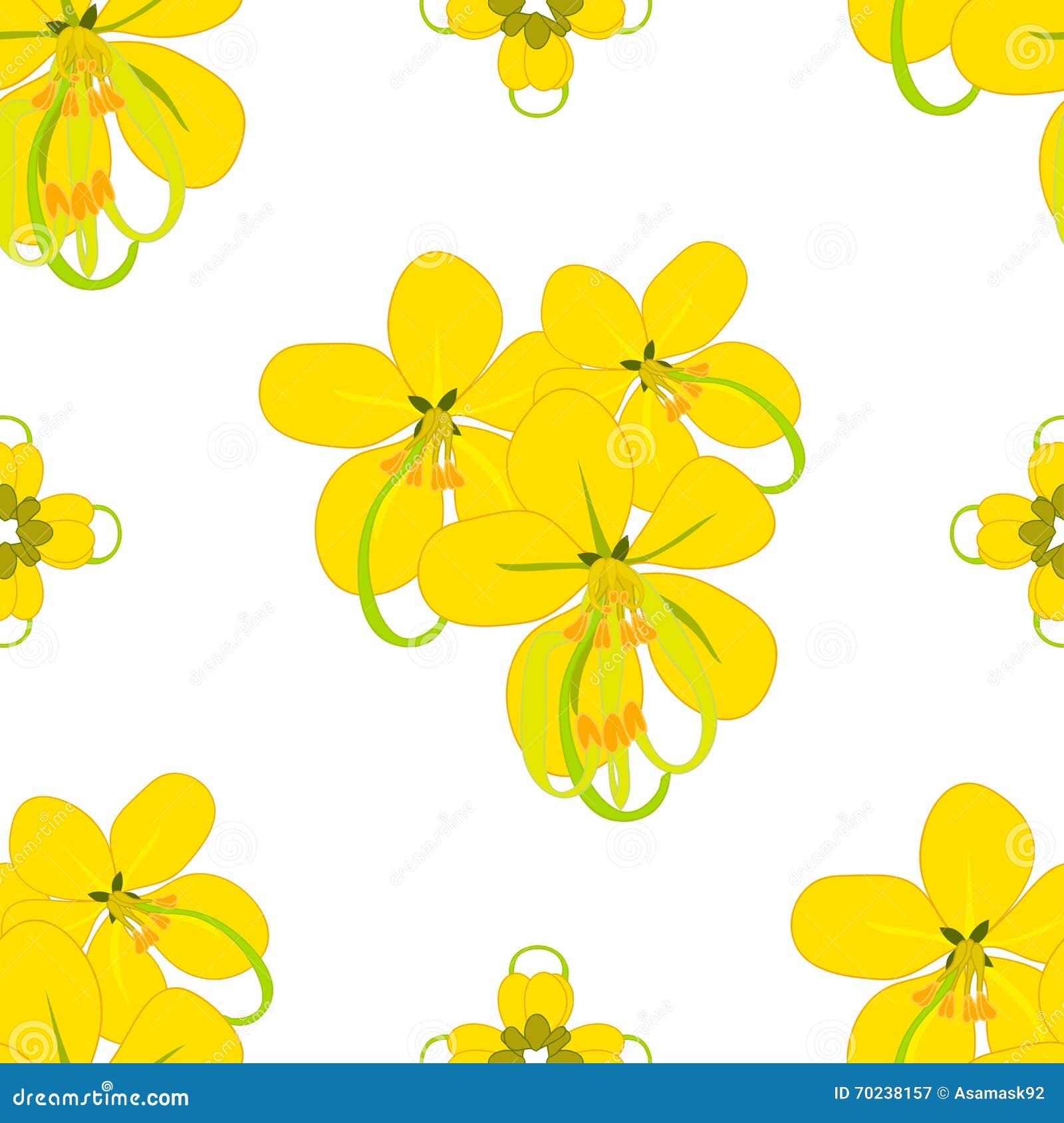 Cassia Fistula Shower Flower Stock Illustration - Illustration of ...