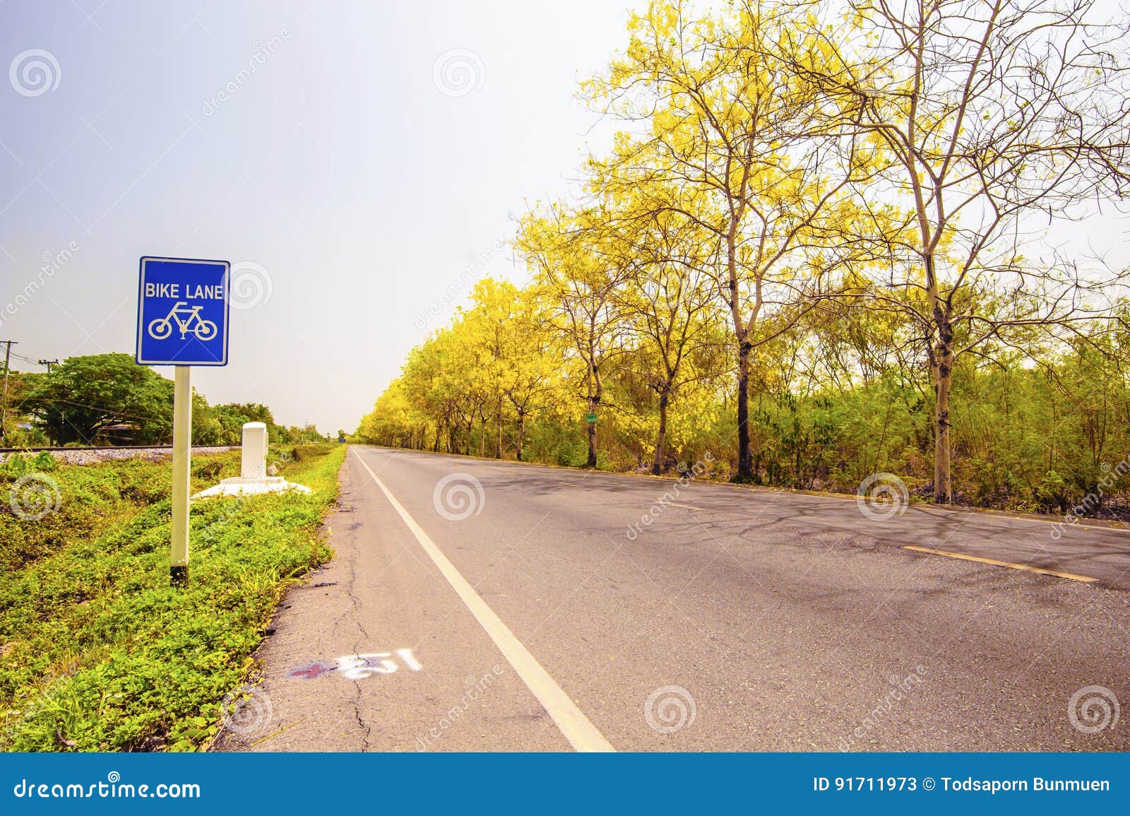 Tree On Roadside Royalty-Free Stock Photography | CartoonDealer.com ...