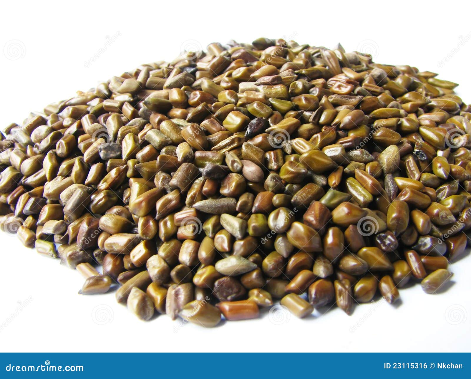 Cassia seeds stock photo. Image of cassia, nature, traditional - 23115316