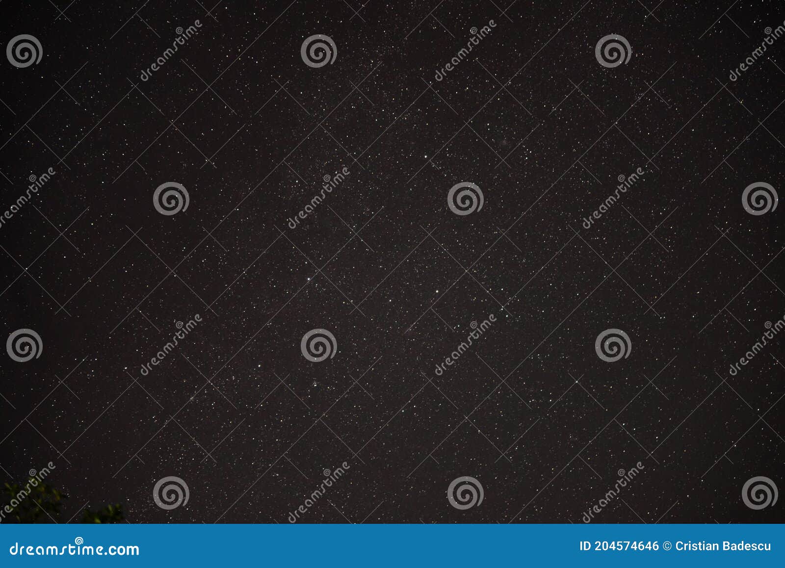 Cassiopeia Constellation in the Night Summer Sky Shining Powerfully ...