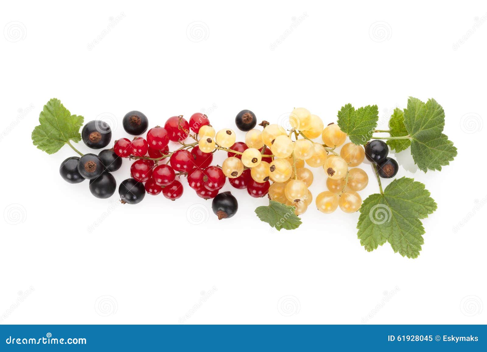 Cassis Rouge, Blanc Et Sur Le Fond Blanc Image stock - Image of mélange ...