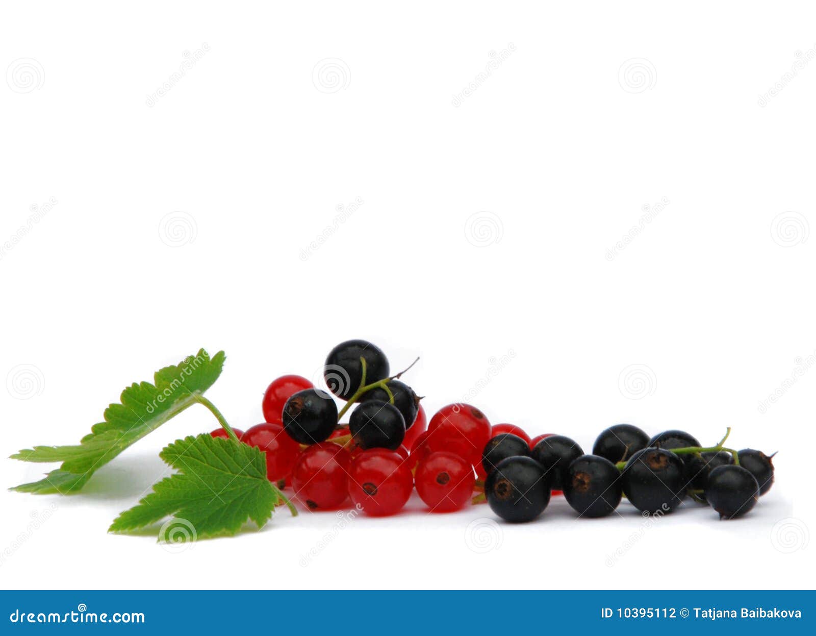 Cassis rouge et photo stock. Image du groupe, nourriture - 10395112