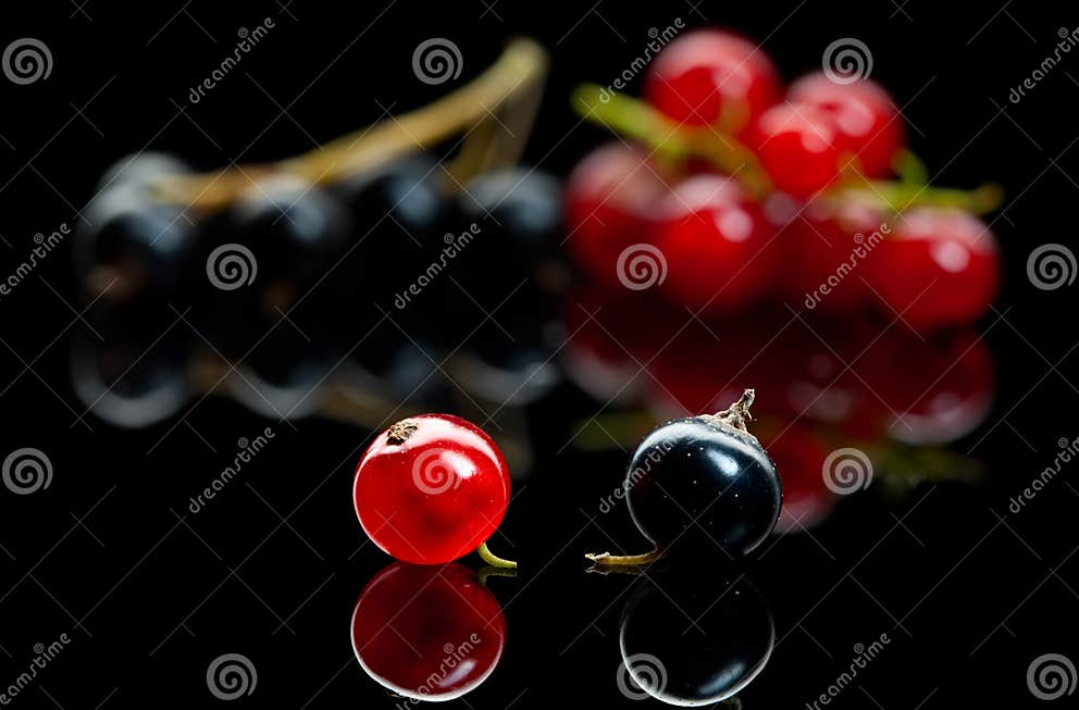 Cassis rouge et photo stock. Image du goût, corinthe - 18467154
