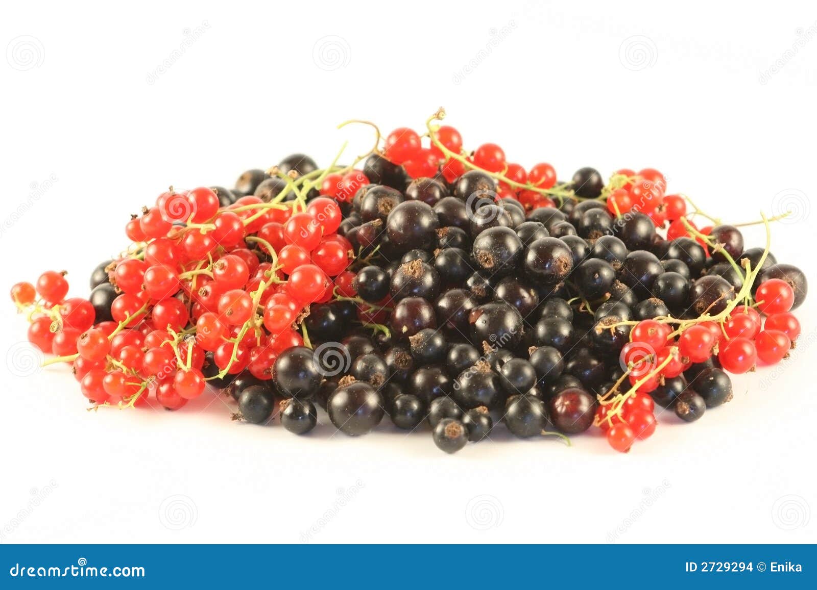 Cassis rouge et. photo stock. Image du rond, rouge, couleur - 2729294