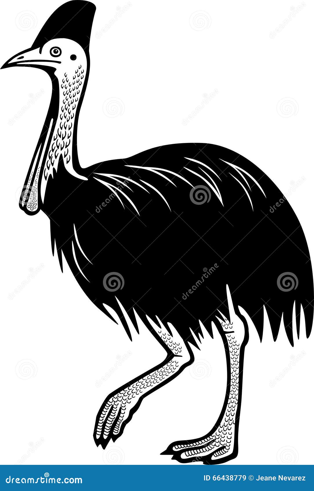 Ratite Cartoons, Illustrations & Vector Stock Images - 101 Pictures to ...