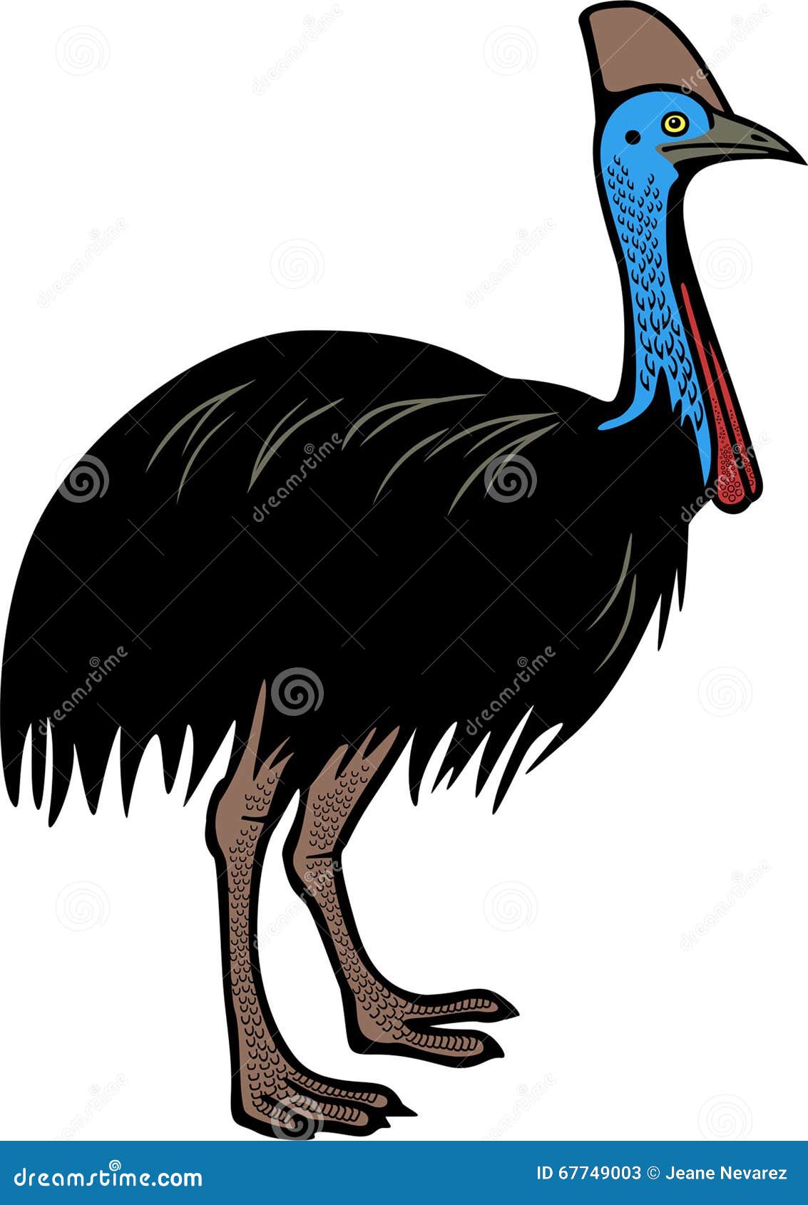 Ratite Cartoons, Illustrations & Vector Stock Images - 34 Pictures to ...