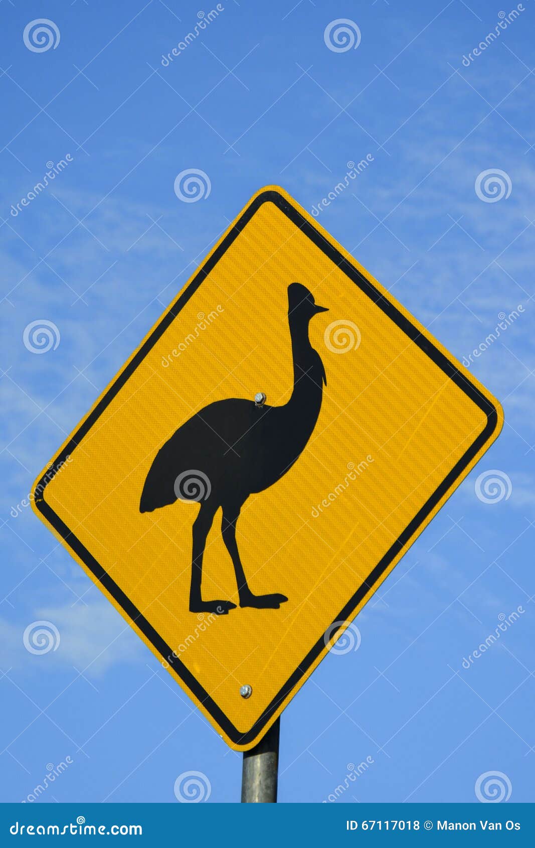 Cassowary Warning Sign in North Queensland, Australia Stock Photo ...
