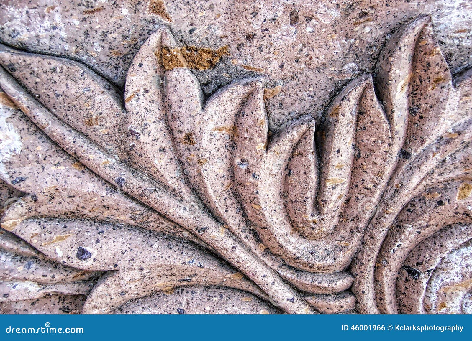 Cast Cement Leaf Texture stock photo. Image of leaf, cast - 46001966