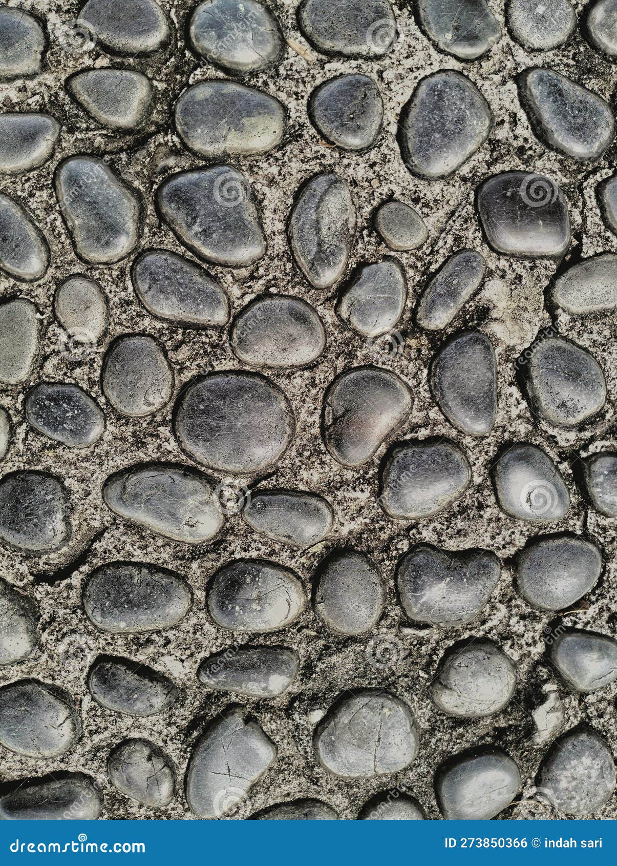 Cast coral stock photo. Image of pattern, cast, soil - 273850366