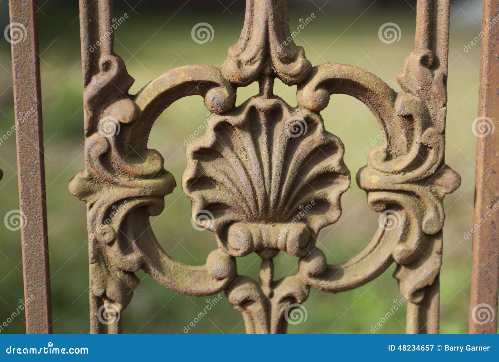 Cast Iron Shell Detail stock image. Image of fence, iron - 48234657