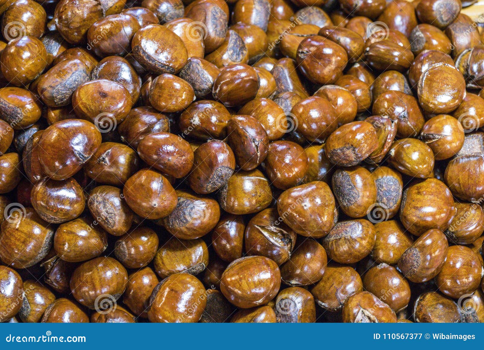 Castagna immagine stock. Immagine di arrostito, provincia - 110567377
