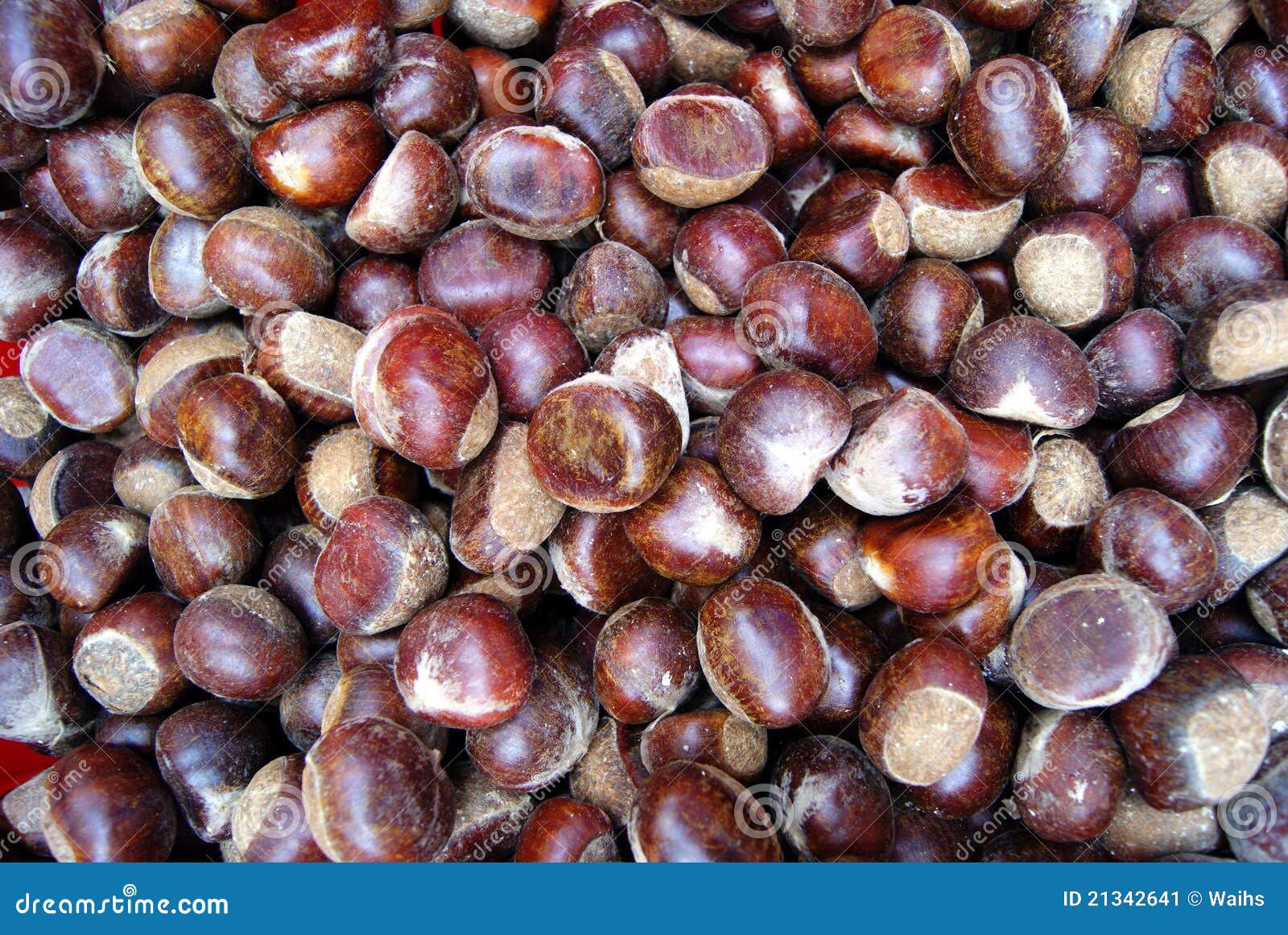 Castagna immagine stock. Immagine di vendita, mercato - 21342641