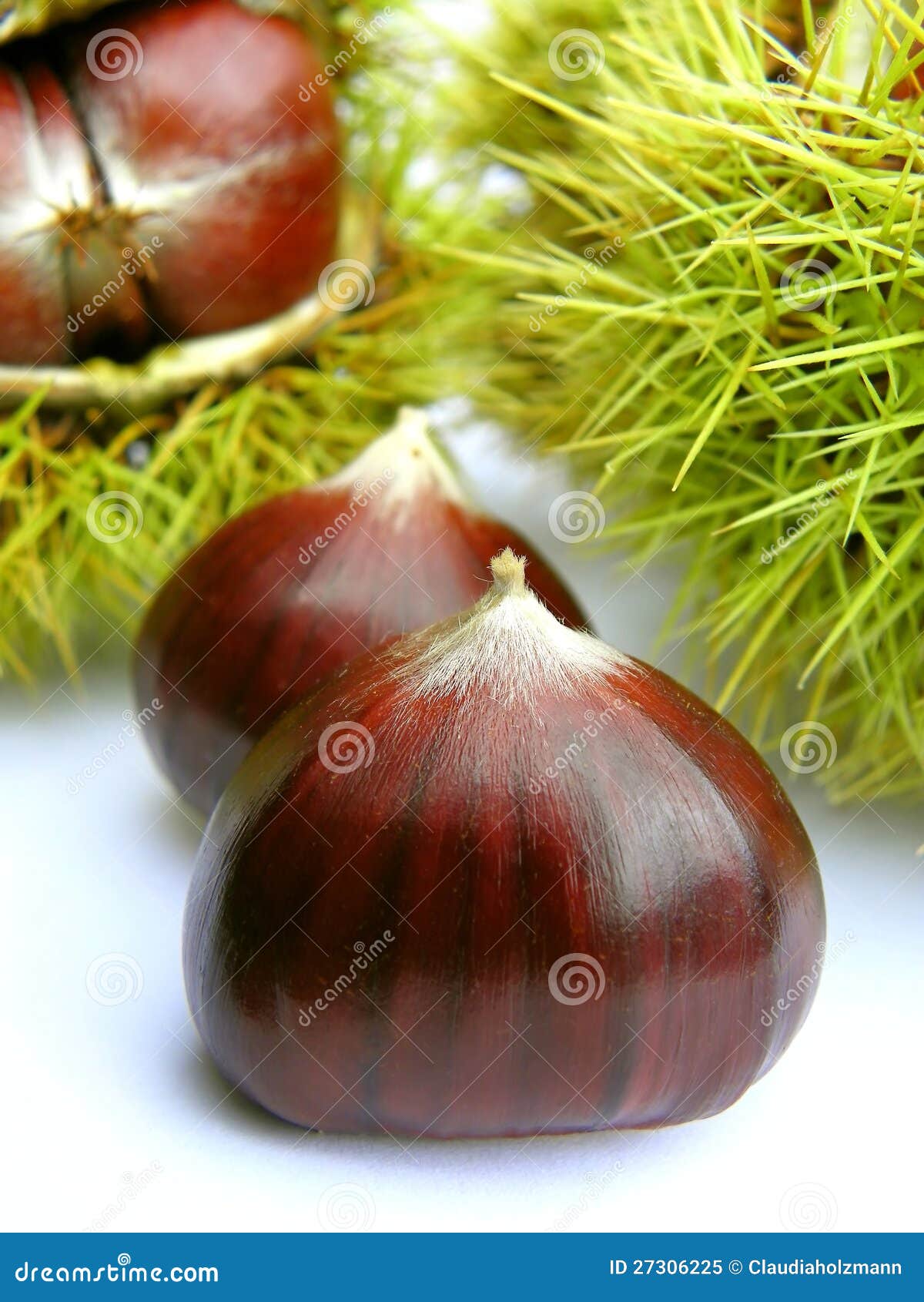 Castagna immagine stock. Immagine di autunno, fresco - 27306225