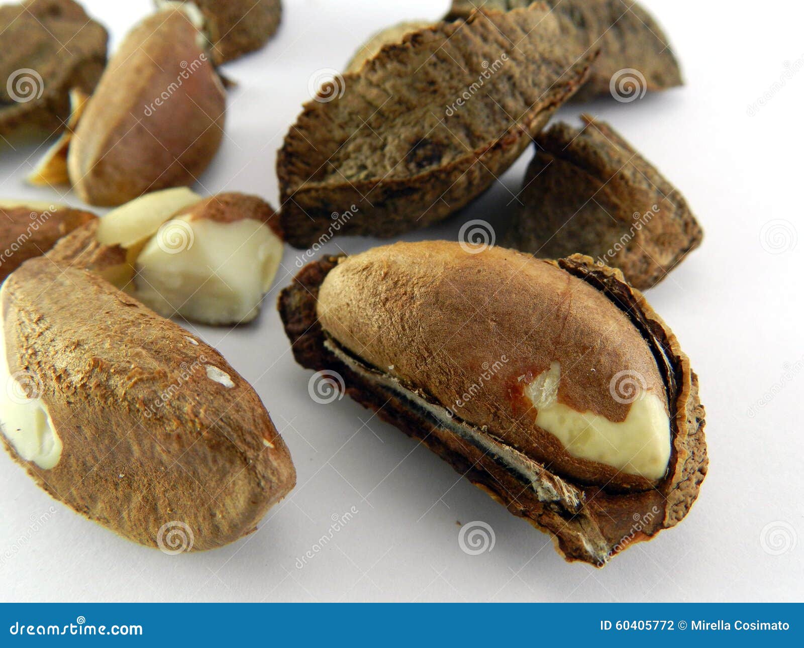 Castanha do Para stock photo. Image of seeds, brazilian - 60405772