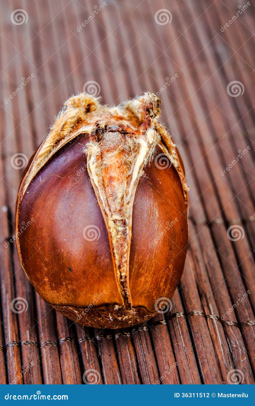 Castanha Roasted foto de stock. Imagem de gourmet, semente - 36311512