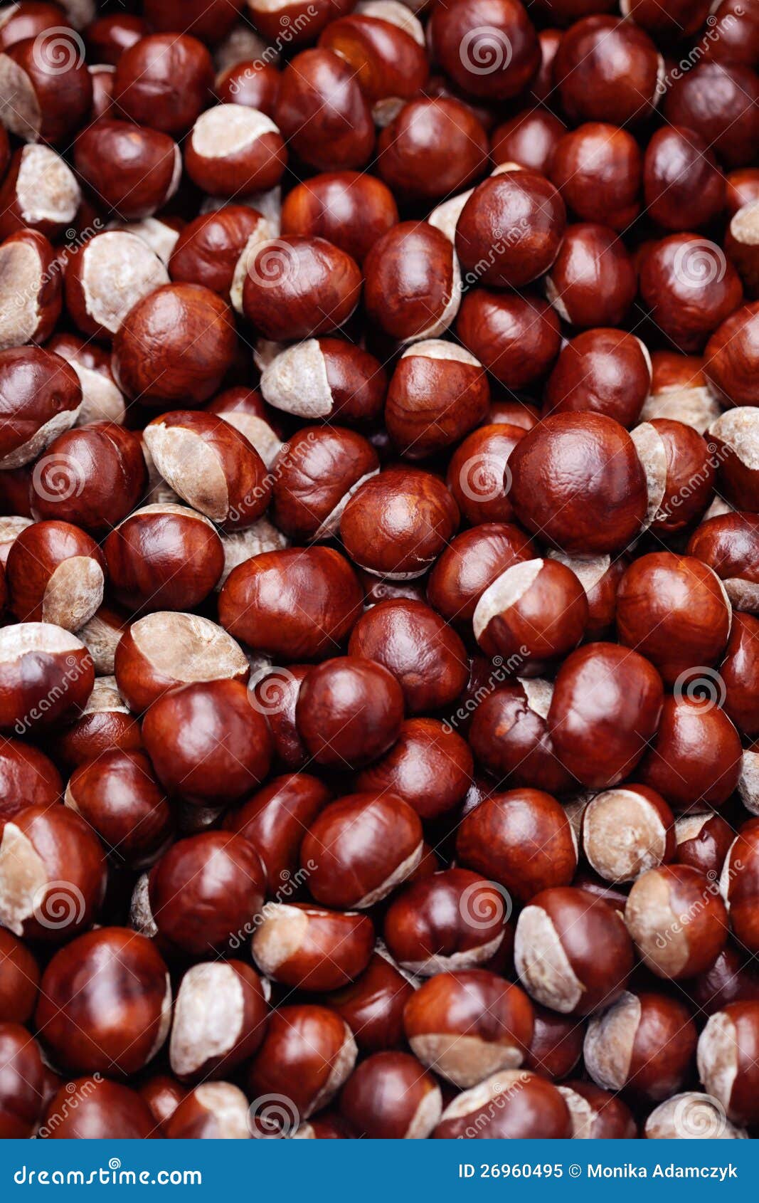 Castanhas imagem de stock. Imagem de castanhas, nave - 26960495