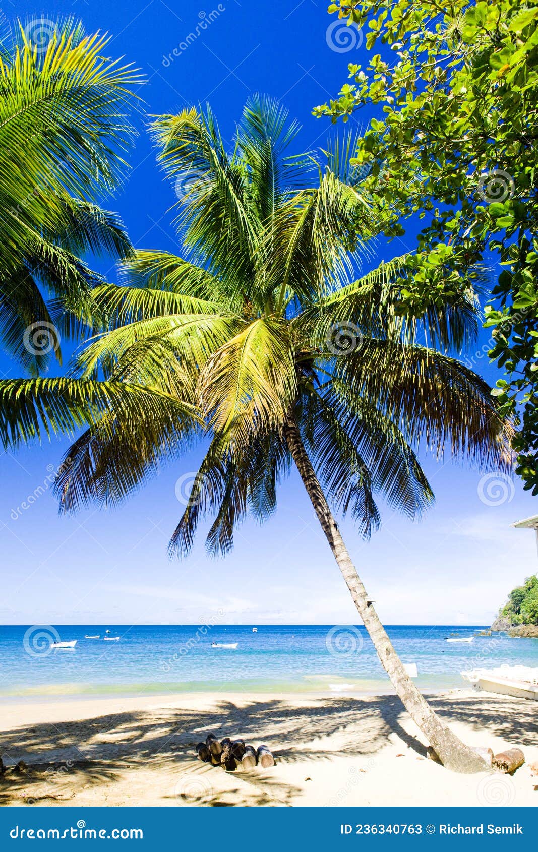 Castara Bay, Tobago stock image. Image of tobago, america - 236340763