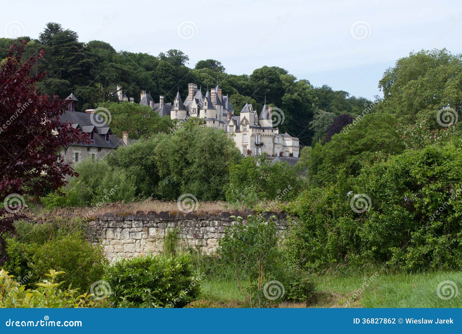 Castel of Rigny-Usse stock photo. Image of famous, beauty - 36827862