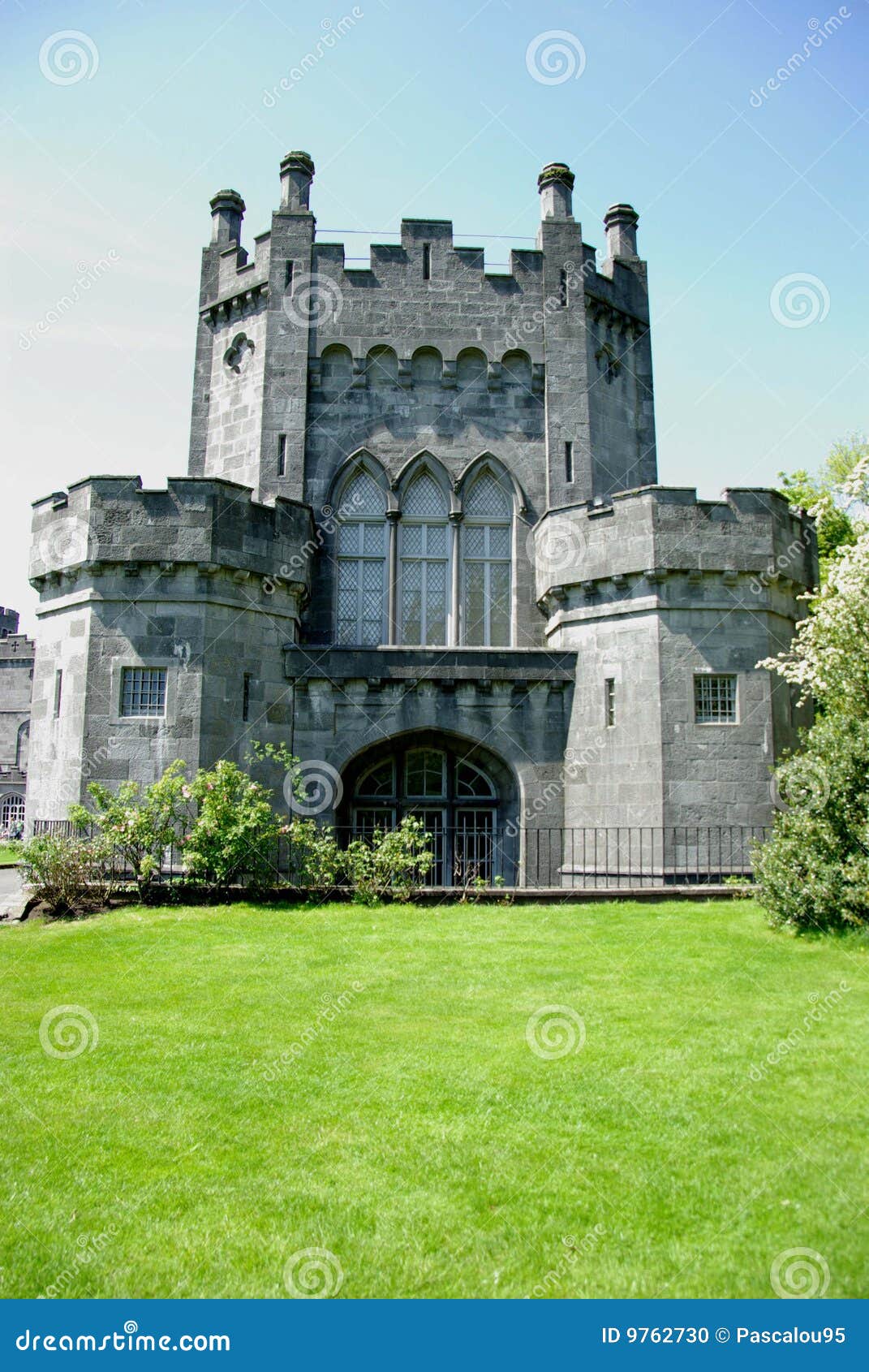 Castello Di Dublino, Irlanda Fotografia Stock - Immagine di ...