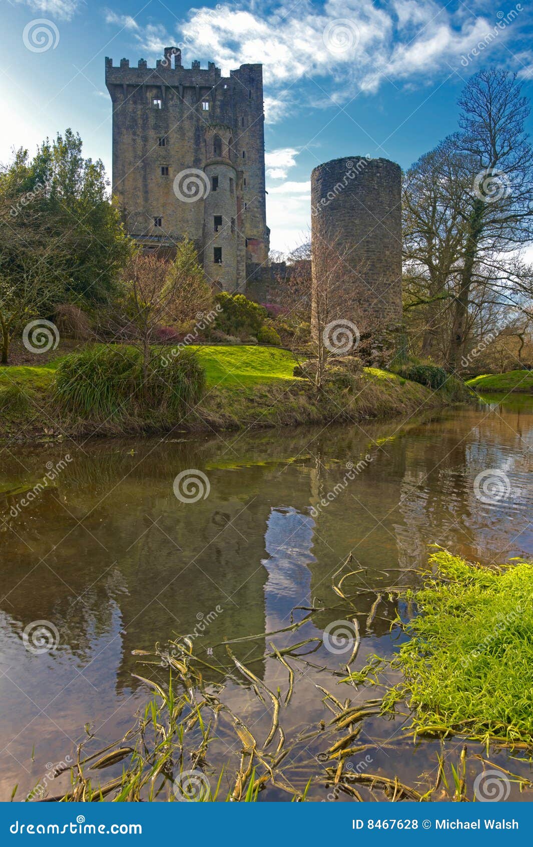 Castello di lusinga fotografia stock. Immagine di elefante - 8467628