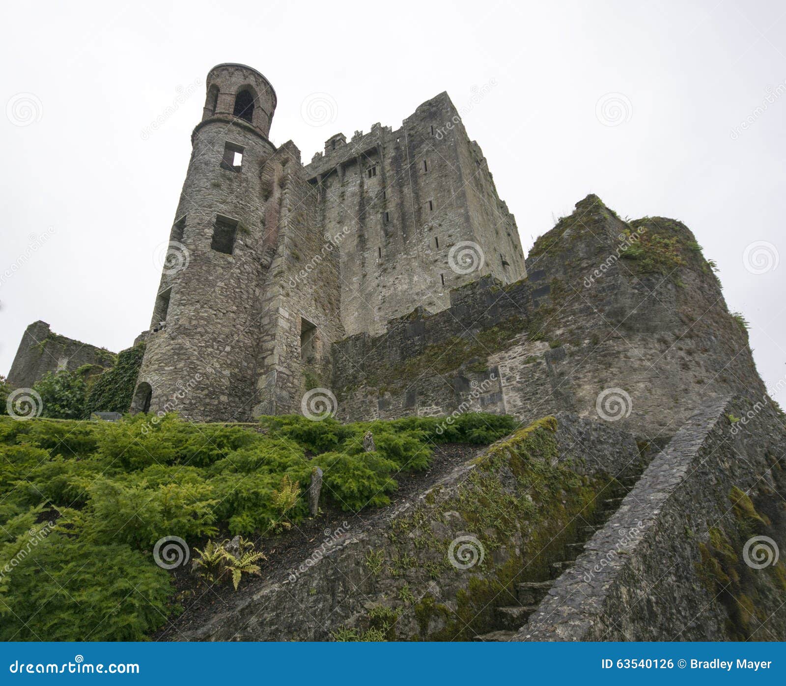 Castello Di Lusinga, Contea Cork Ireland Di Lusinga Fotografia Stock ...