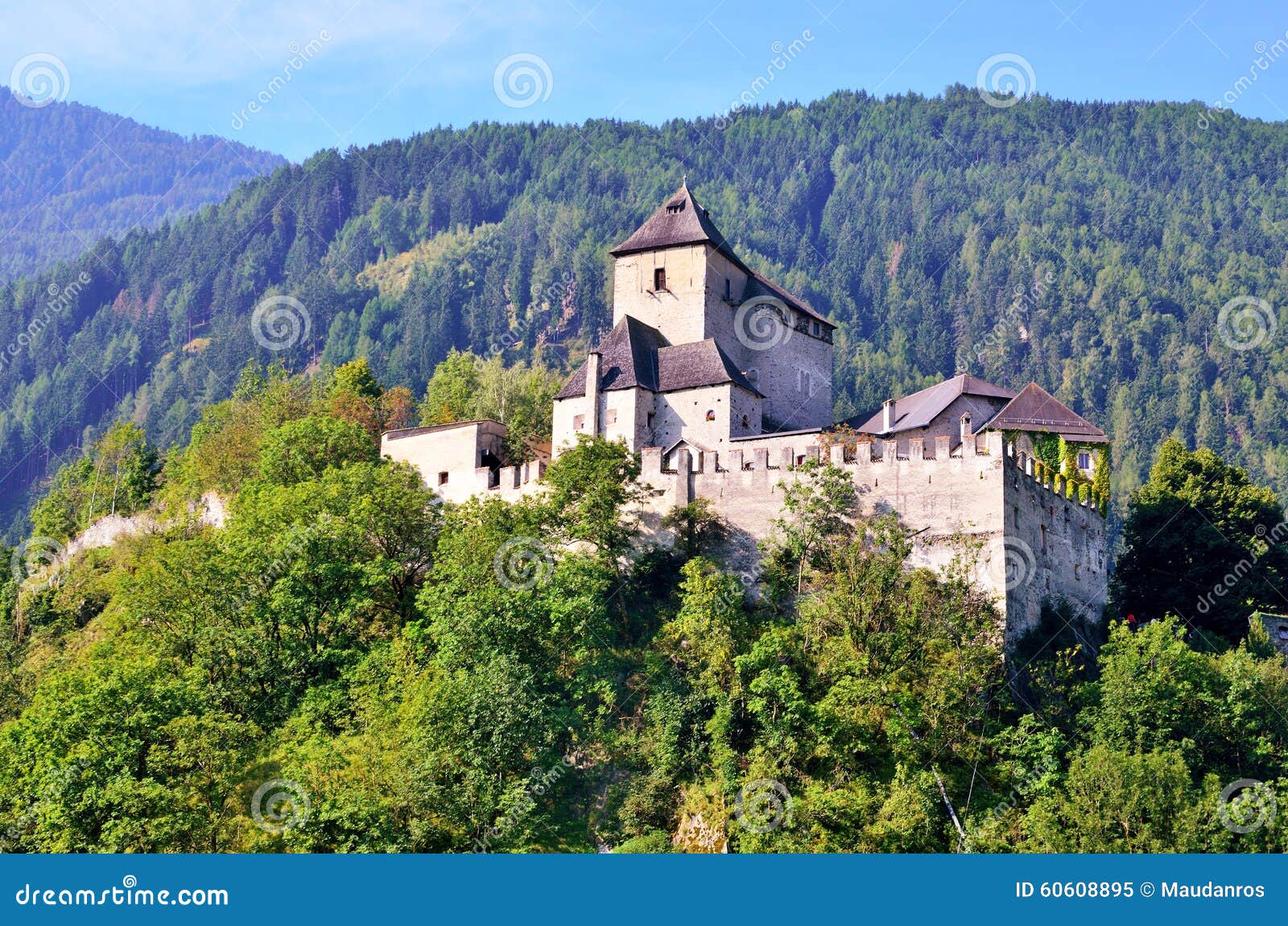 Castello di Reifenstein immagine stock. Immagine di europa - 60608895