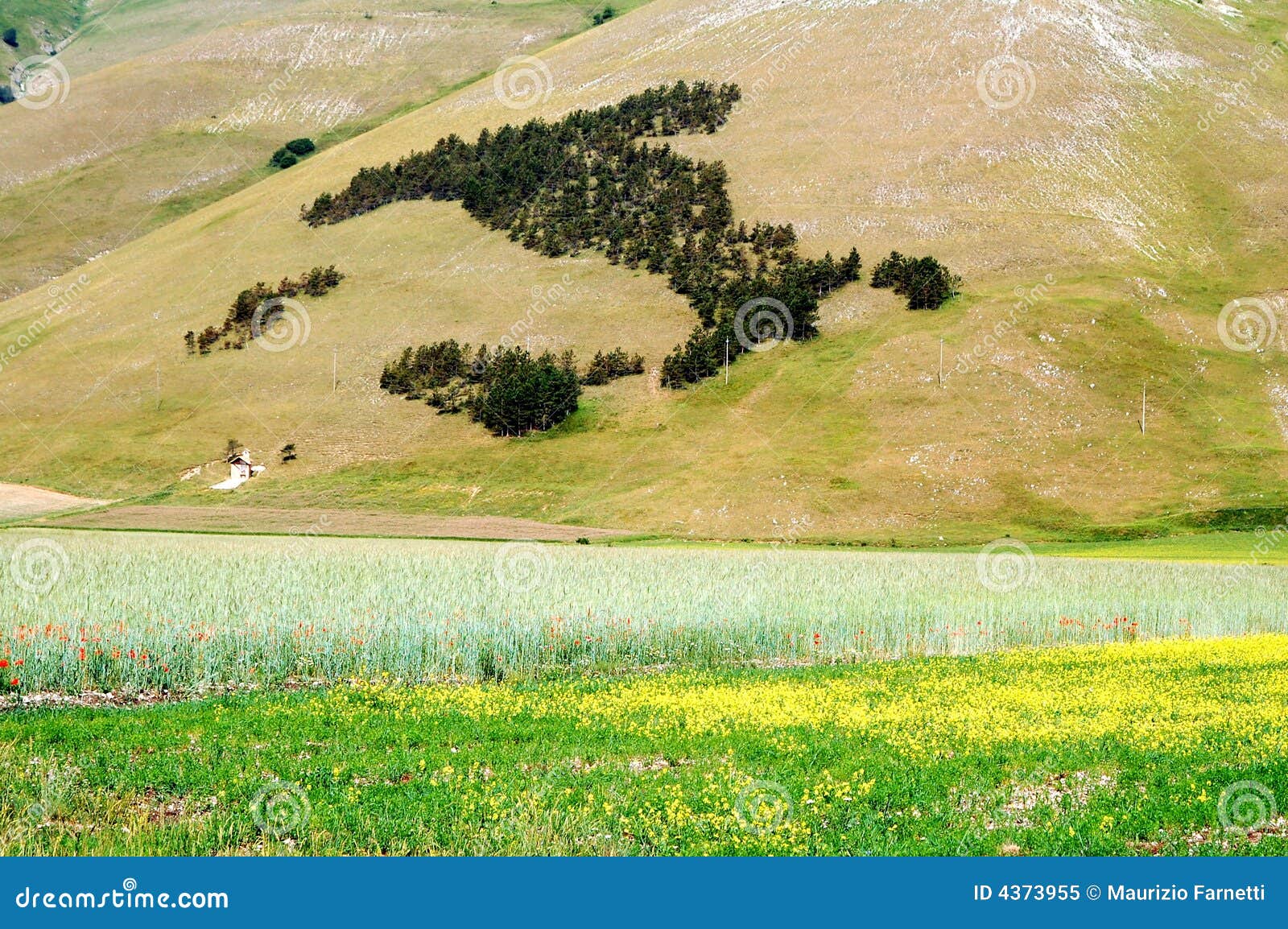 Castelluccio of Norcia, Umbria, Italy Stock Image - Image of ...