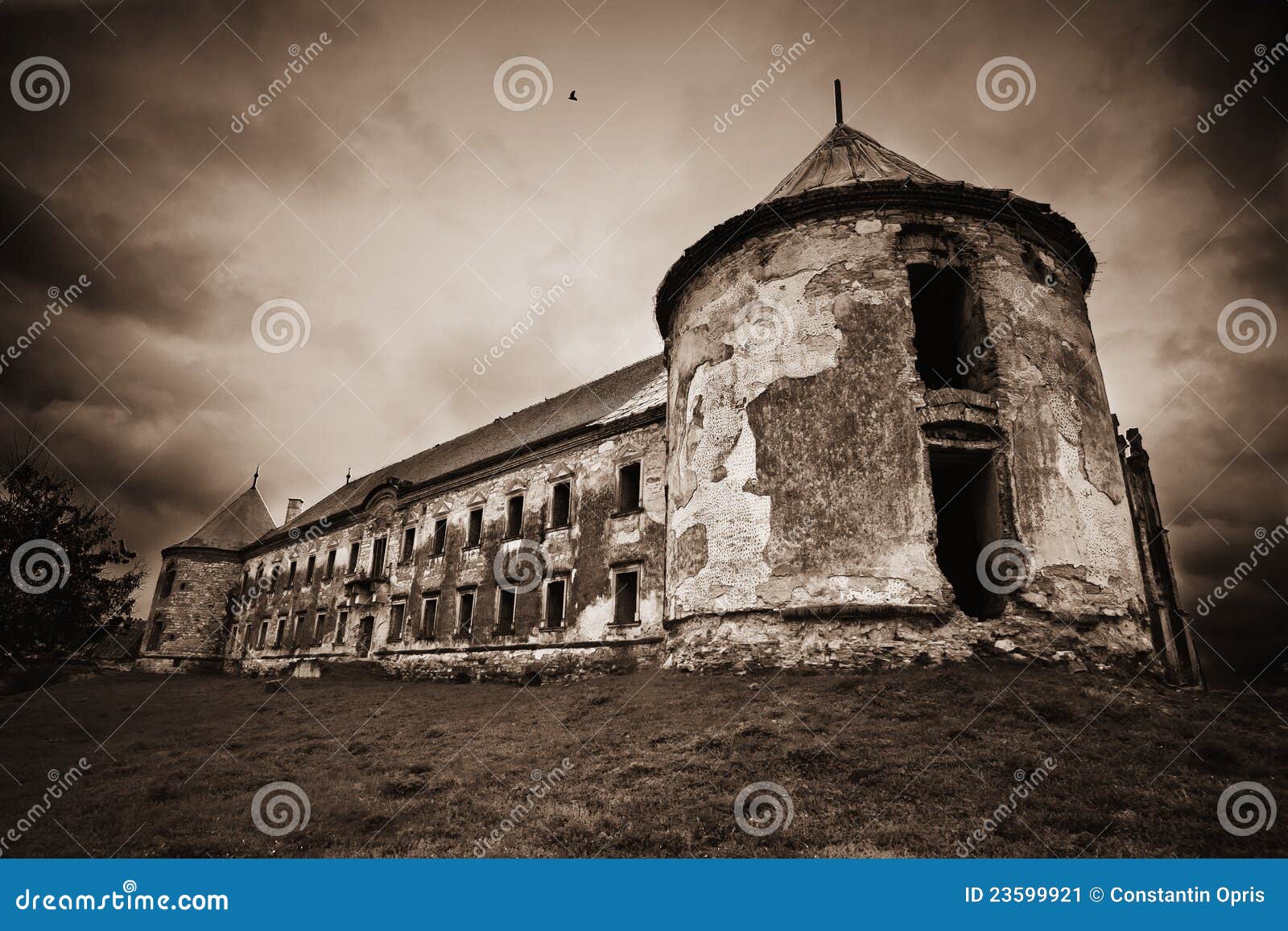 Castelo assombrado escuro imagem de stock. Imagem de bruxa - 23599921