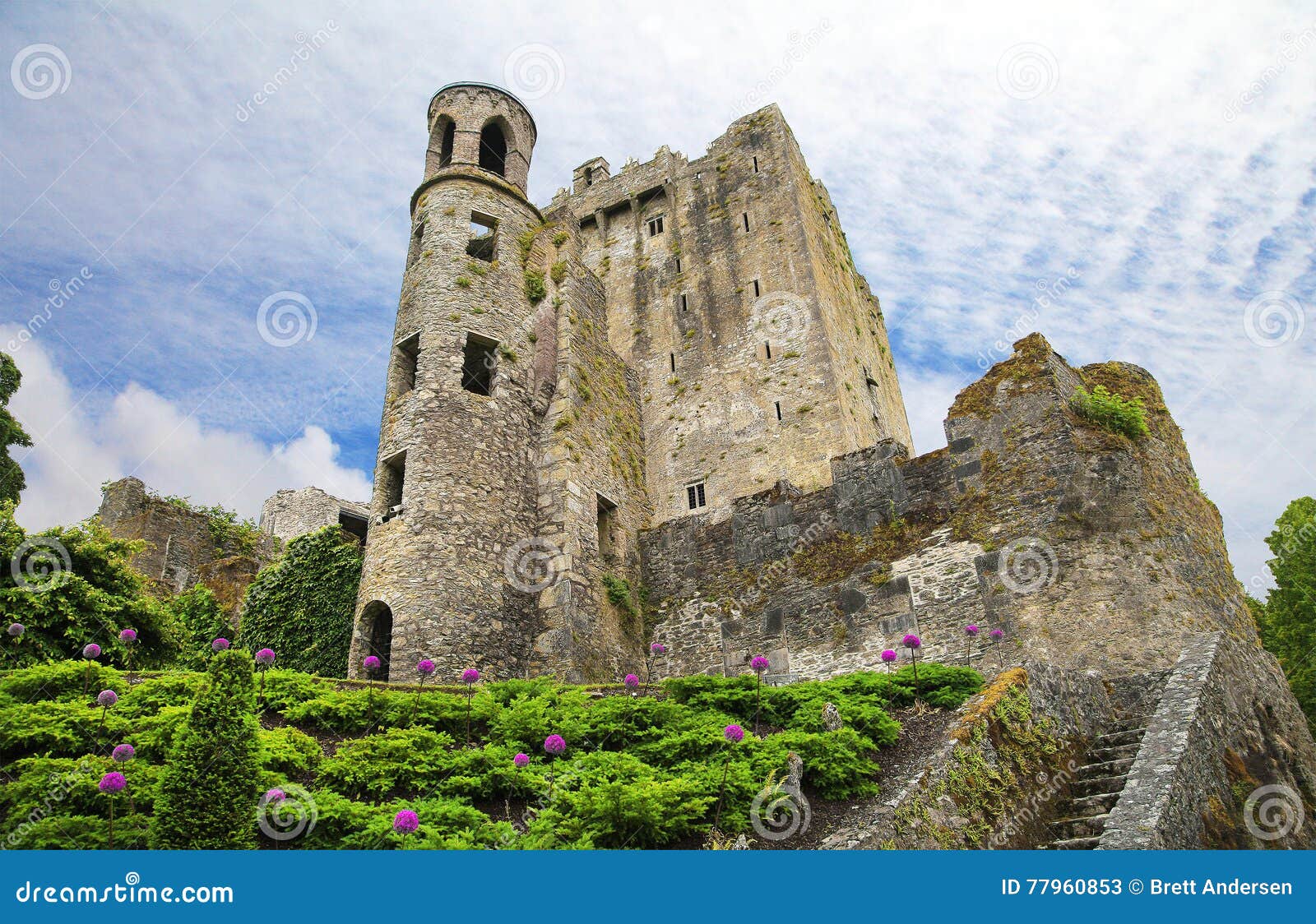Castelo Do Blarney, Ireland Imagem de Stock - Imagem de martin, cerco: 77960853
