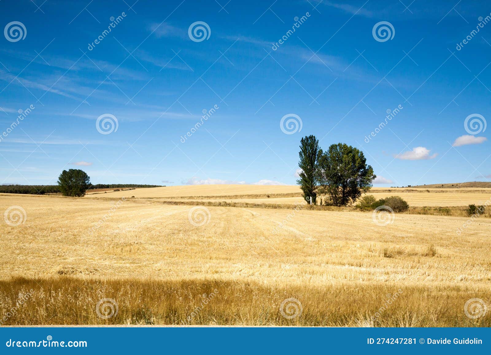 Castile and Leon Region Rural Landscape, Spain Stock Image - Image of ...