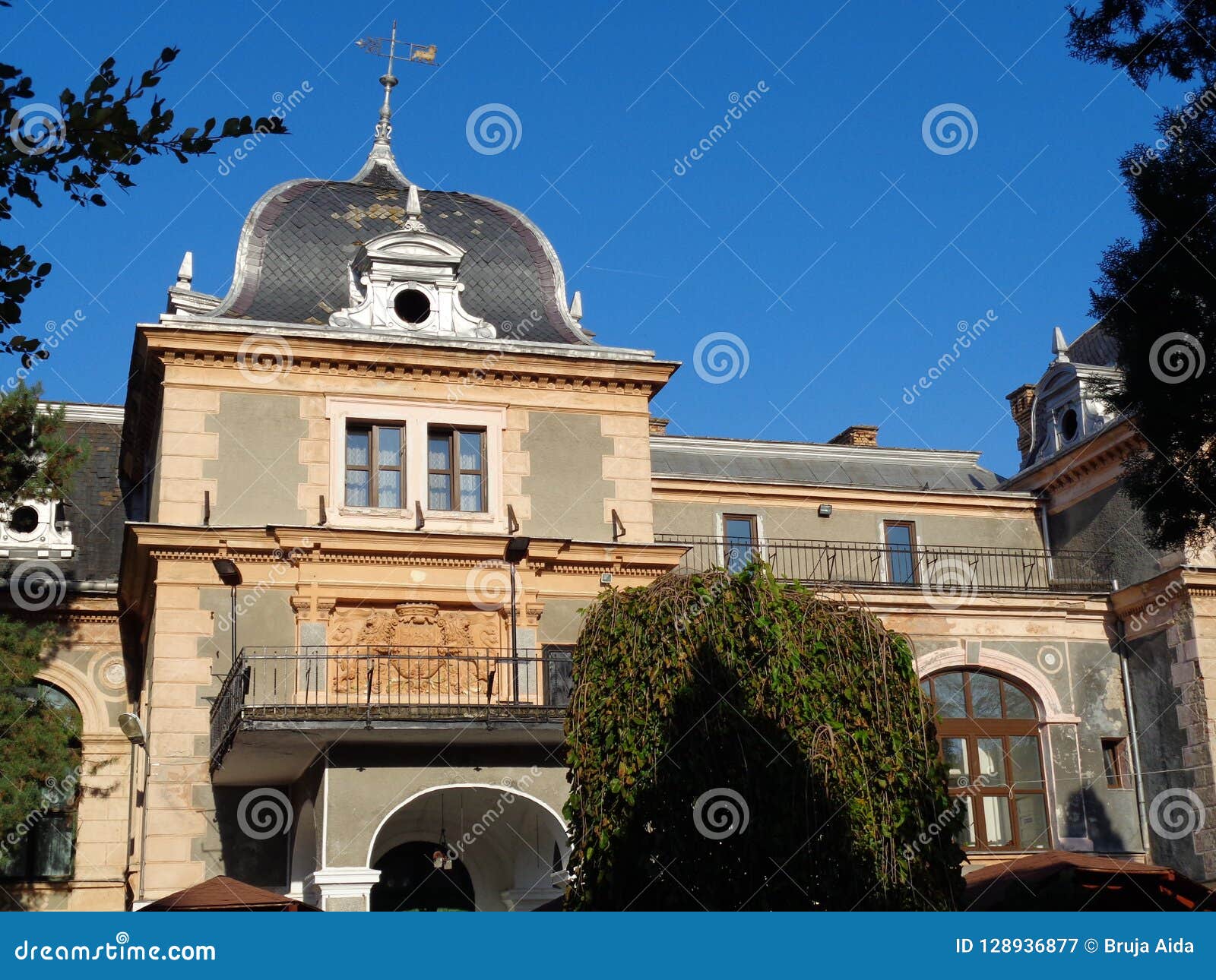 Castillo De Csernovics - Parque Dendrological De Macea Arad County ...