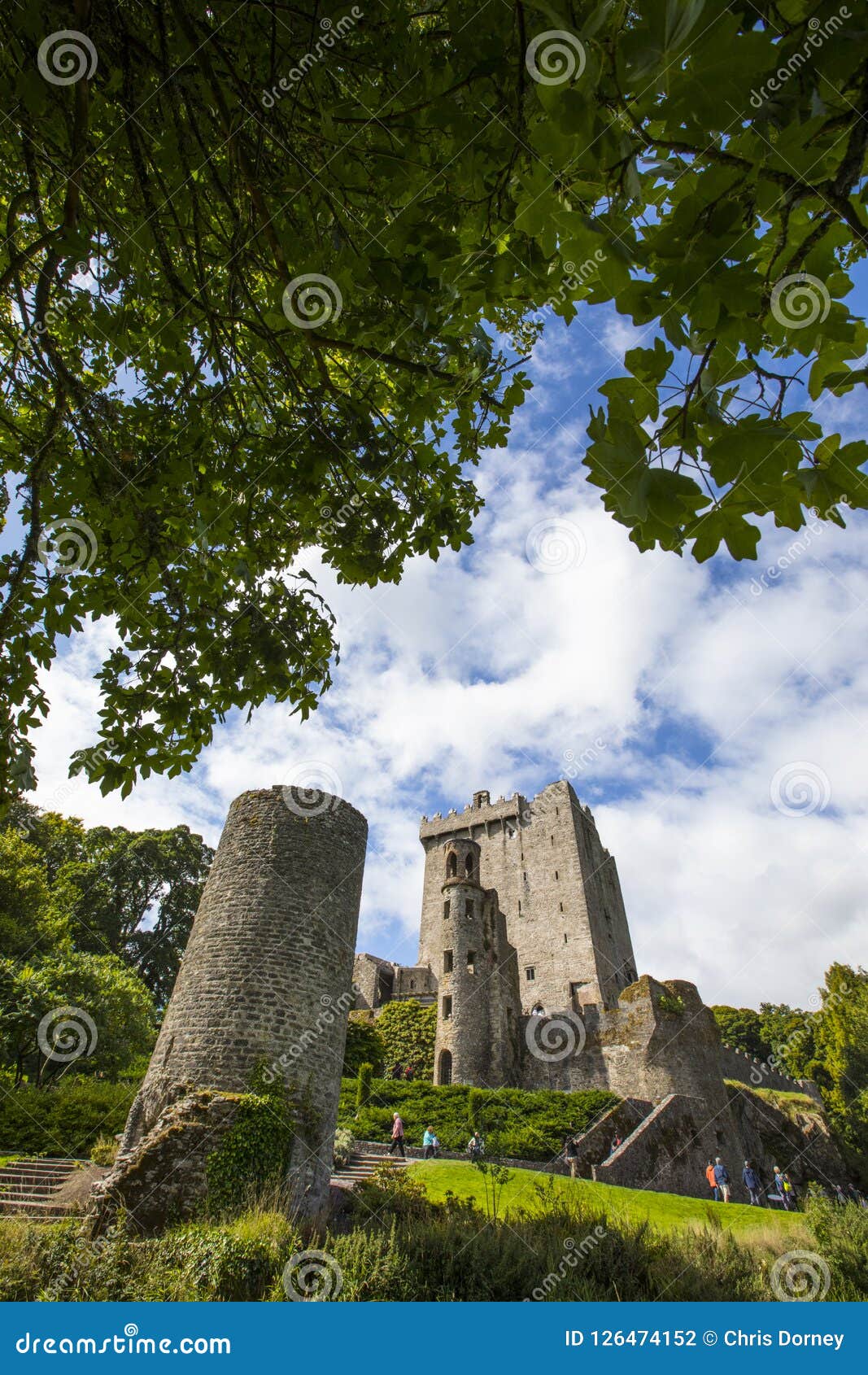 Castillo De La Lisonja En El Irlanda Fotografía editorial - Imagen de ...