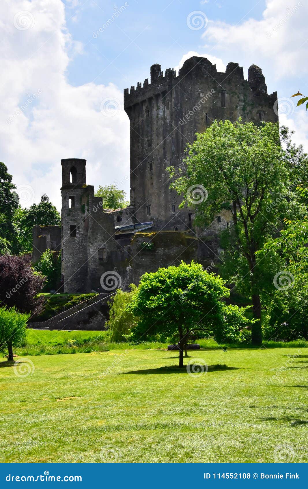 Castillo De La Lisonja En Irlanda Foto de archivo - Imagen de palacio ...