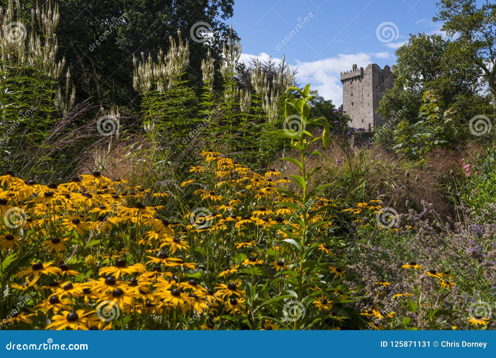 Castillo De La Lisonja En Irlanda Imagen de archivo - Imagen de vistas ...