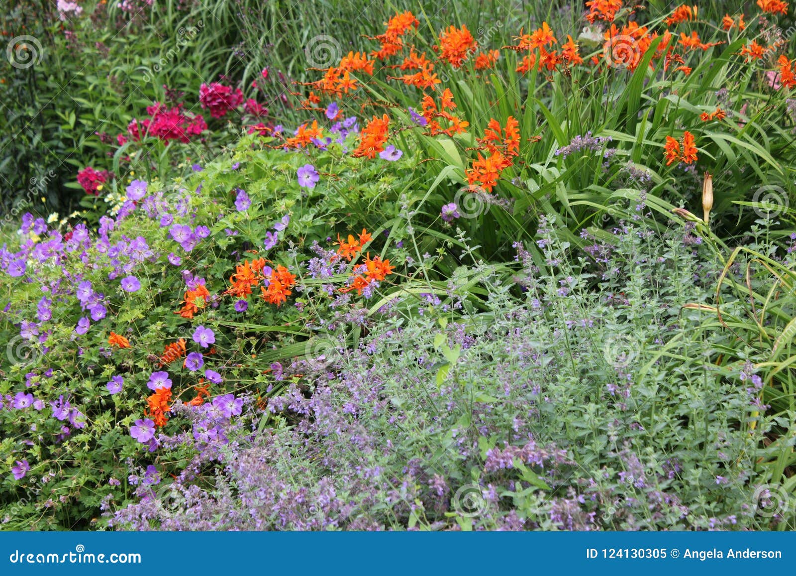 Castillo De La Lisonja, Piedra De Lisonja, Irlanda Imagen de archivo ...